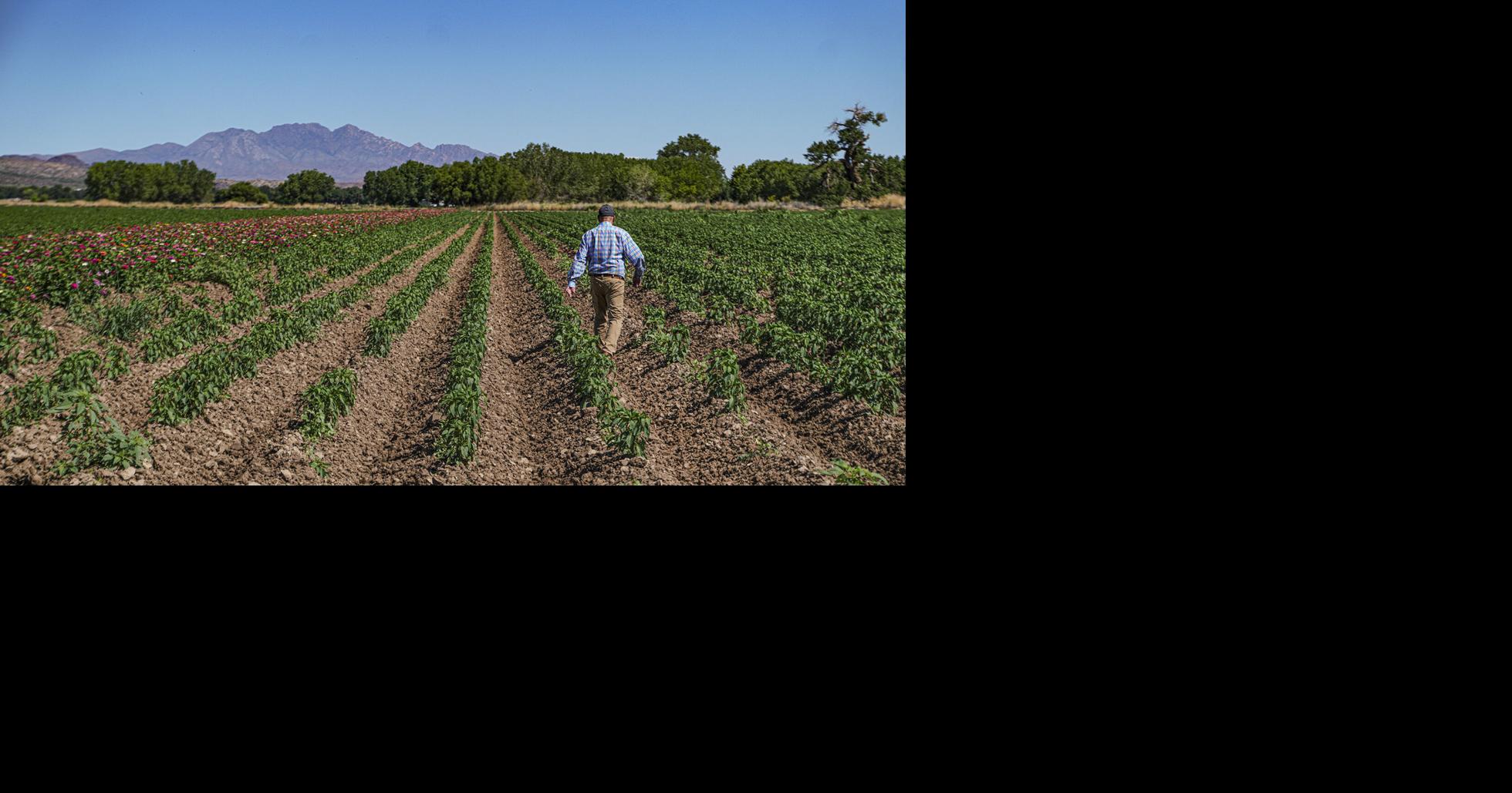 Activists challenge Middle Rio Grande Conservancy District's water use ...