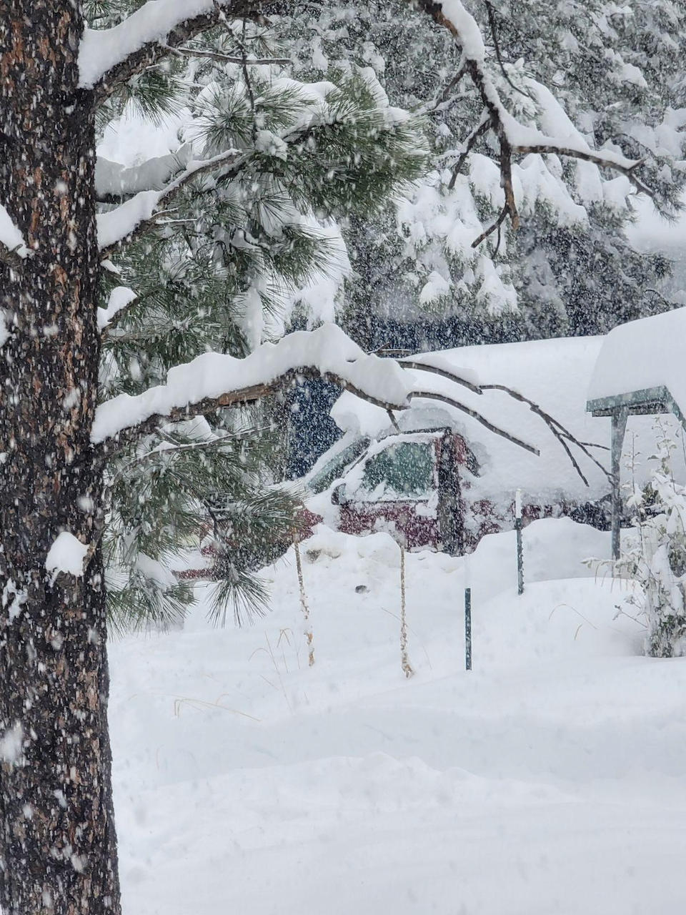 'We've never seen this much snow this early': Vegas area sees 'historic ...