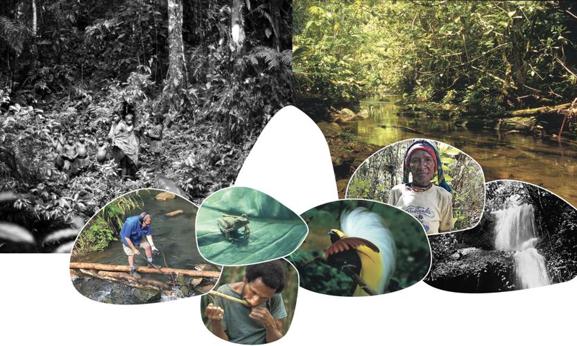 Earth tones: "Voices of the Rainforest" | Movies | santafenewmexican.com
