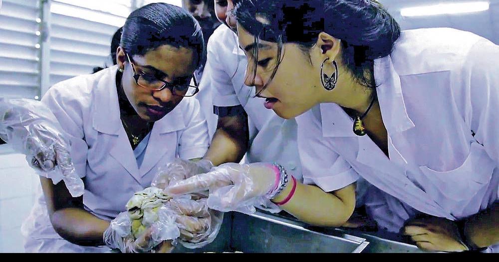Film in Santa Fe explores Cuba medical school | Local News ...