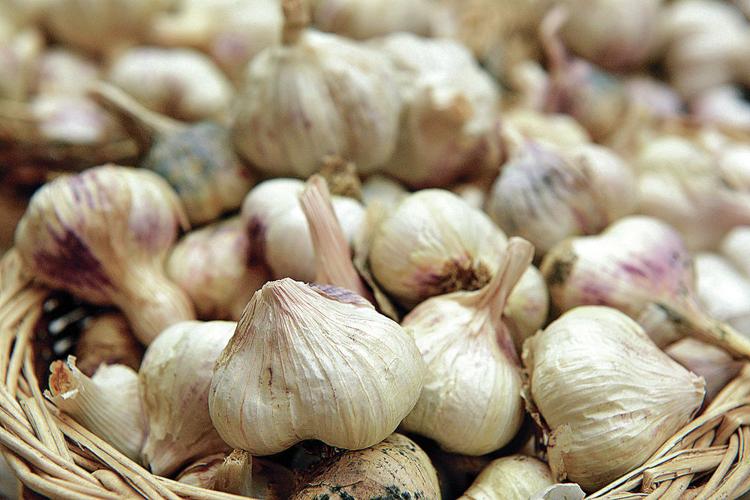 Small New Mexico farmers fight flood of cheap Chinese garlic | Local ...