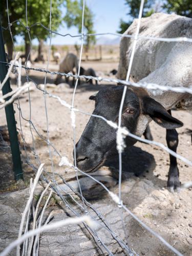 DOOMSDAY GETAWAY ADV14 5 | | santafenewmexican.com