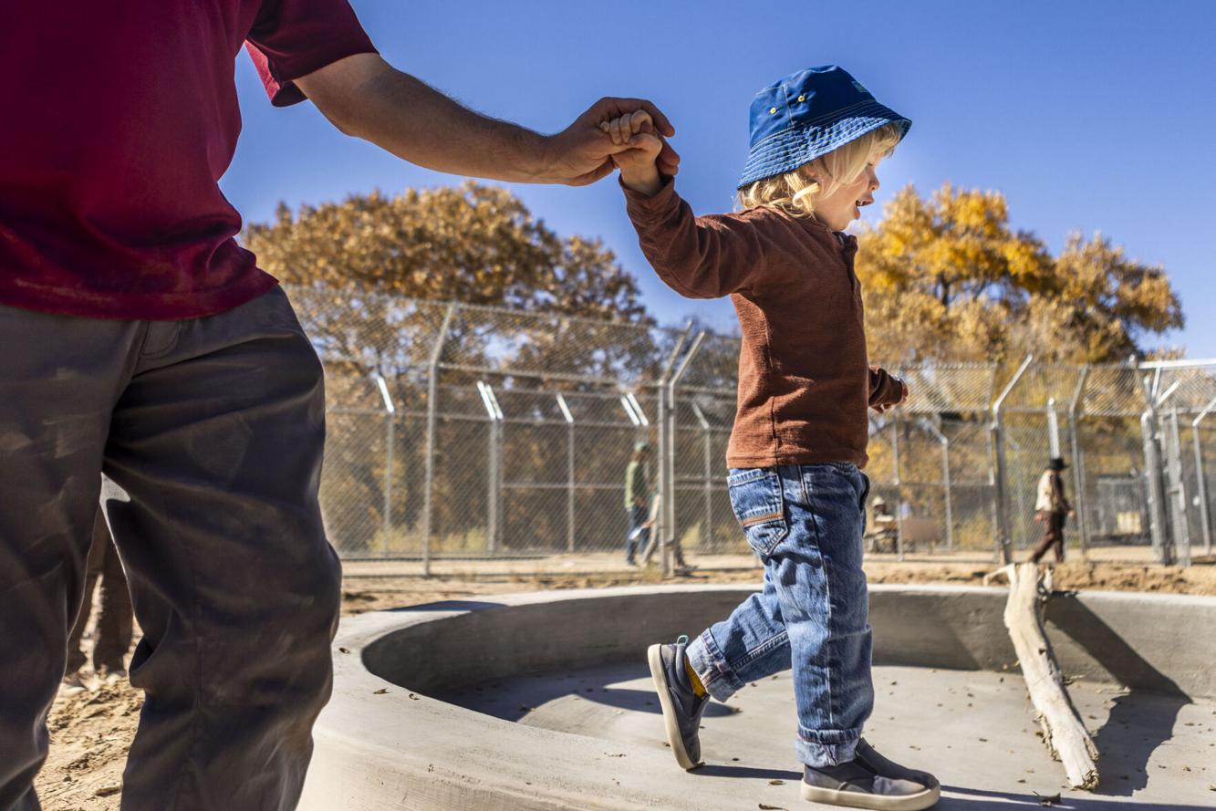 New lobos in town: Albuquerque's zoo prepares to open Mexican wolf conservation facility | Local ...