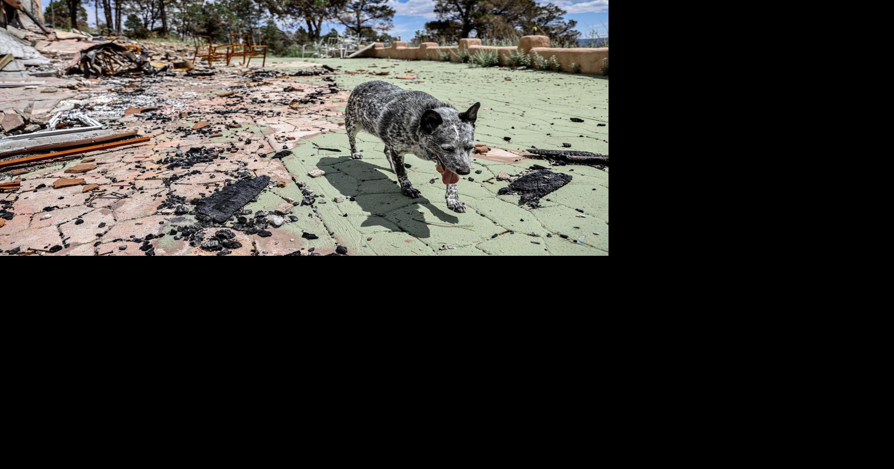 The stories that moved 'New Mexican' reporters in 2024 | Local News ...