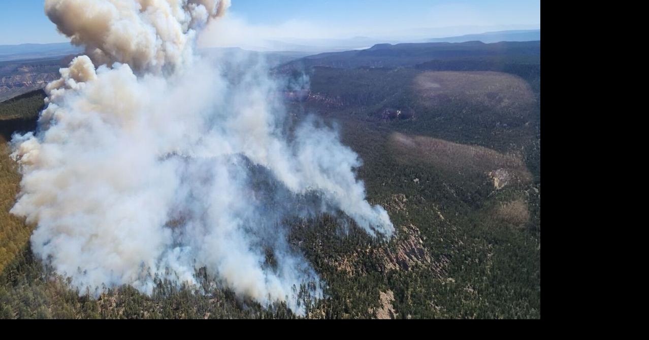 Indios Fire continues to grow | Local News | santafenewmexican.com