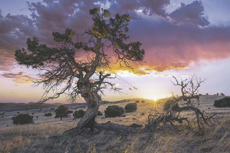 Still Wild: The Gila Wilderness at 100 | Pasatiempo | santafenewmexican.com