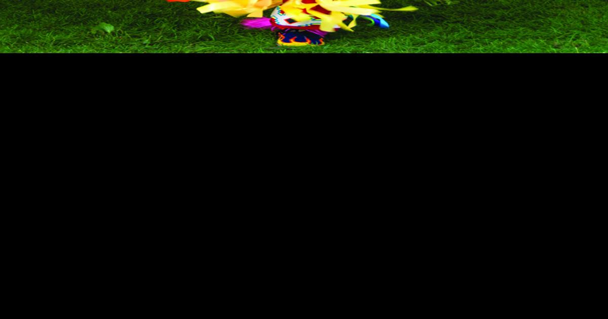 SWAIA Official Schedule of Events | Indian Market 2014 ...