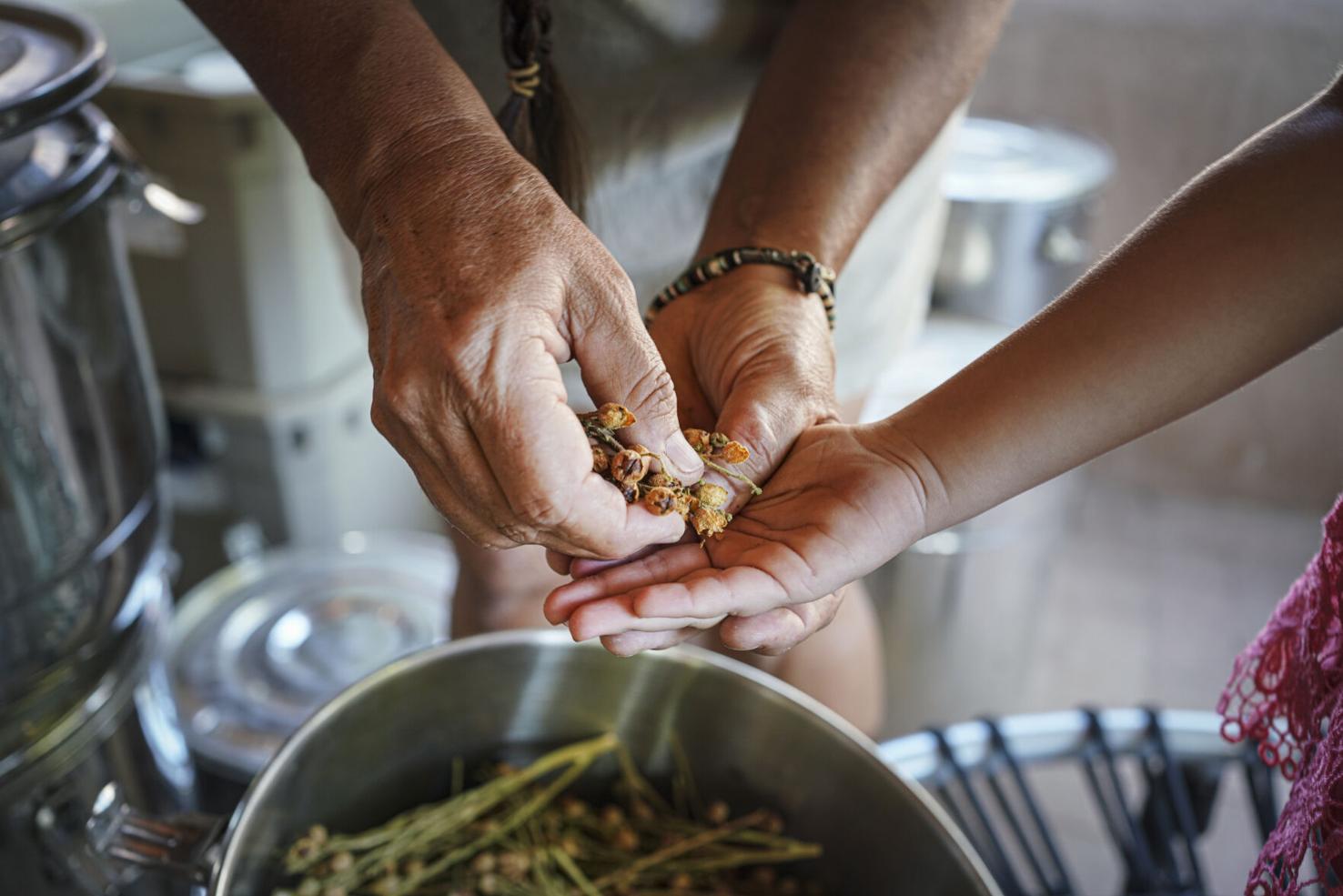 Reclaiming and expanding Native foodways in New Mexico, one seed at a ...
