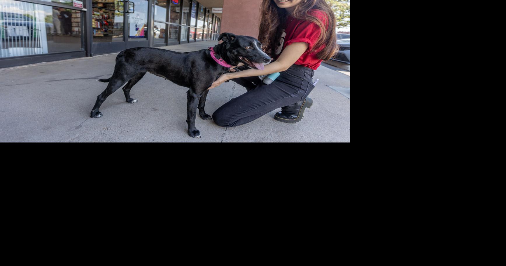For Santa Fean named Miss New Mexico, title is a means to help | Local ...