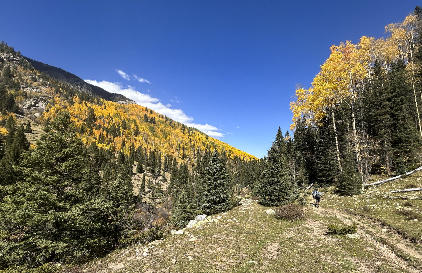 Four favorite Northern New Mexico hikes from 2024 | Adventure ...