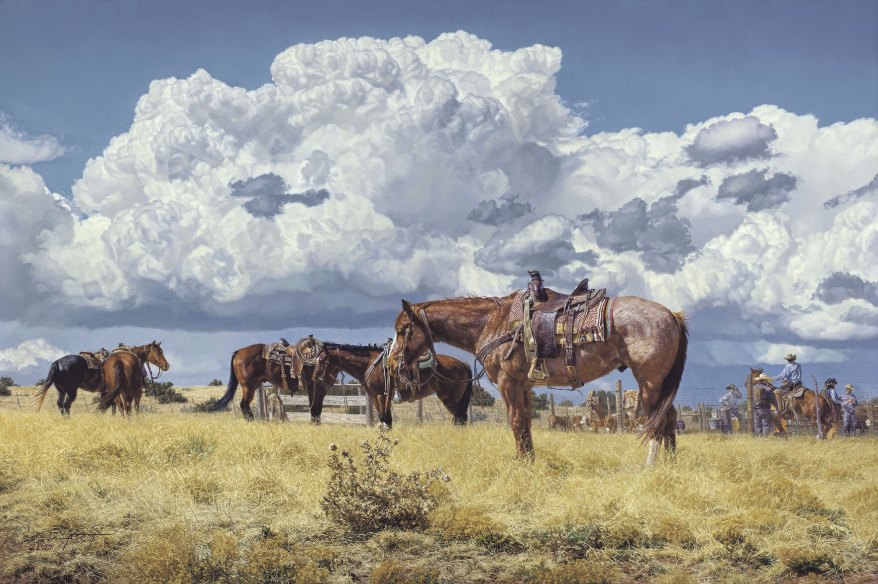 Horse Power: Tim Cox | Pasatiempo | santafenewmexican.com