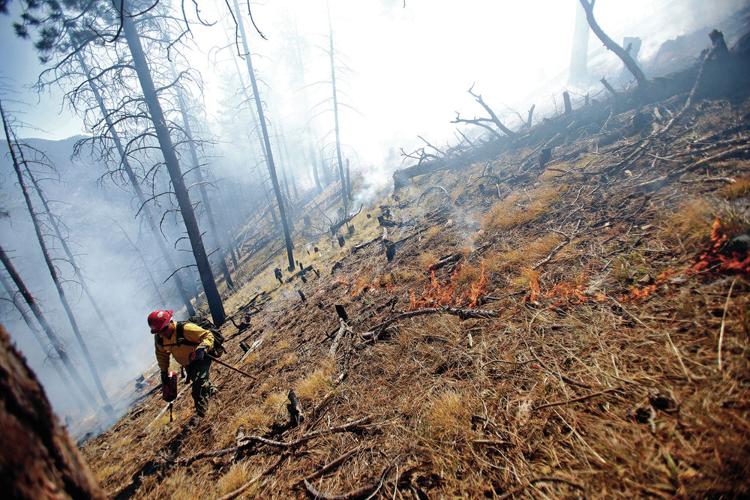 Firefighters fight fire with fire to secure watershed | Local News ...
