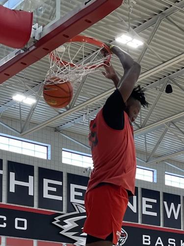 Less is hopefully more for retooled Lobos hoops program | Sports ...