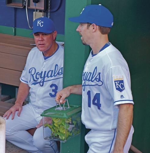 Burns keeper of goldfish, mantis mascots | Sports | santafenewmexican.com