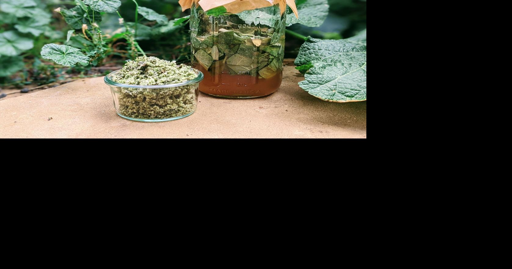 Flavor savers: Preserve veggies, herbs for winter | Taste ...