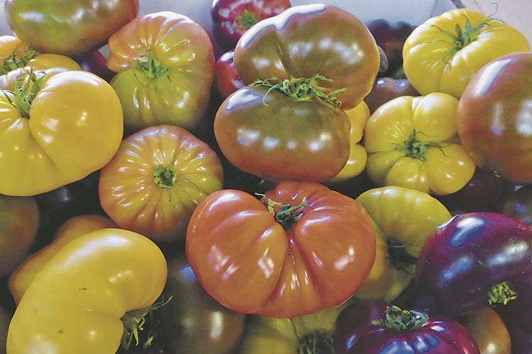 Winter still yields a feast for the eyes at the Santa Fe Farmers Market ...