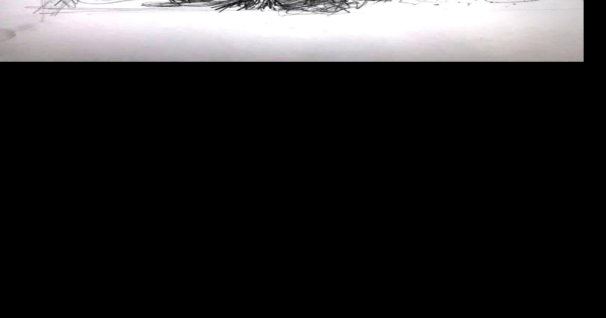 The art of emotion: "Project Isolation" | Pasatiempo ...