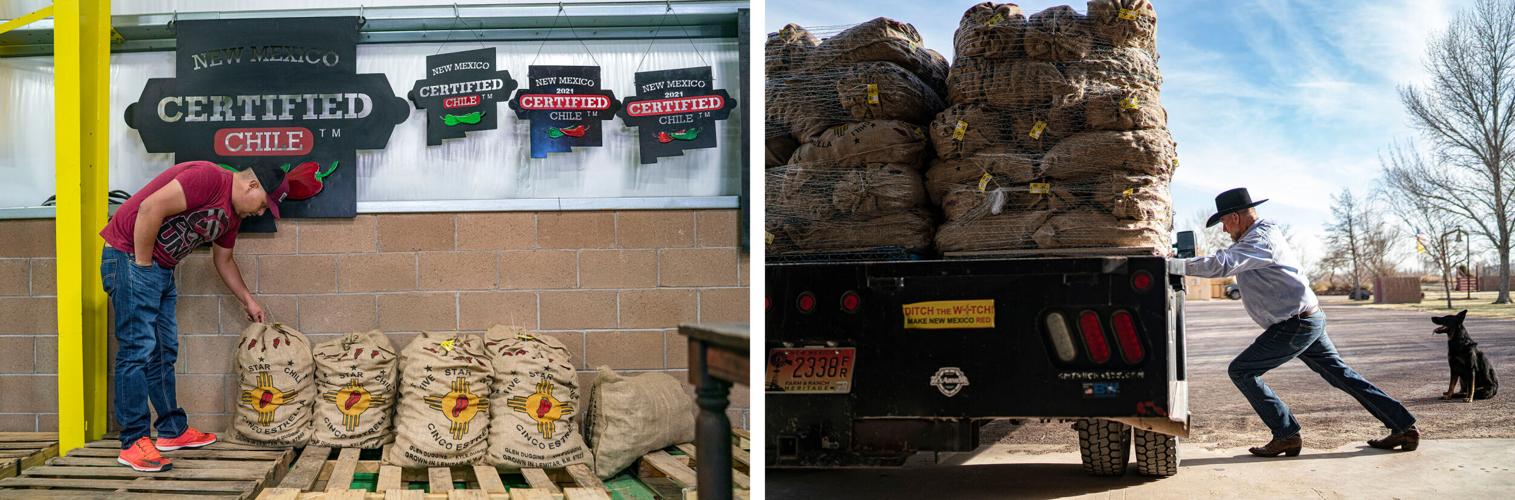 Farmer switching crops: No green in chile anymore | Local News ...