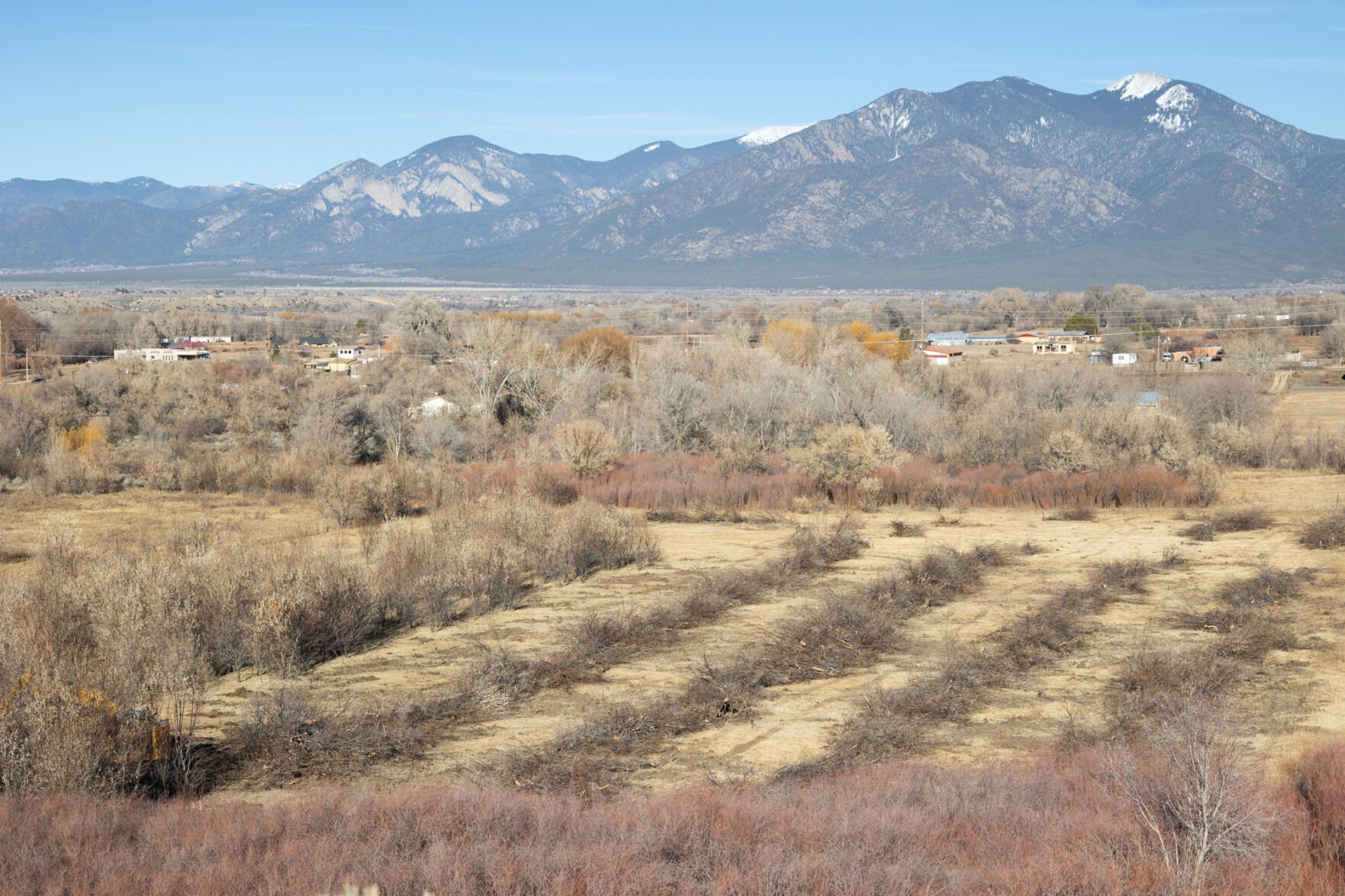 Taos Soil and Water Conservation District project removes thousands of ...