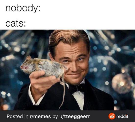 Gen Z culture defined by memes | Teen | santafenewmexican.com