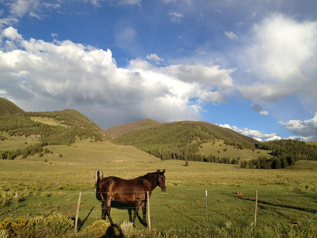 Rocky Mountain healing: Into the "Deep Creek" with Pam Houston | Books ...