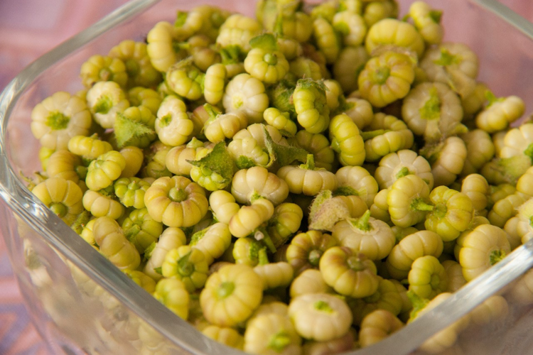 Finding your food: Ellen Zachos talks backyard foraging | Restaurants ...