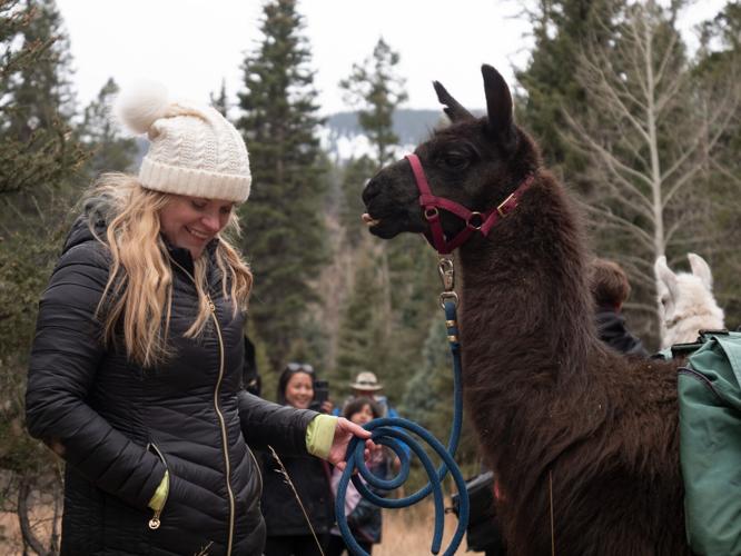 Adventuring with South America's legendary pack animals | Local News | santafenewmexican.com