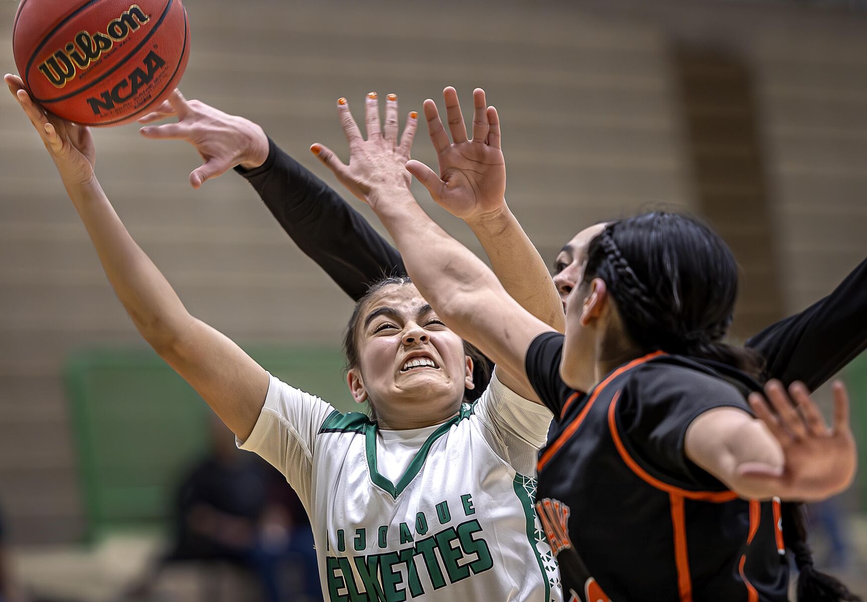 Pojoaque Valley's Arrietta powers through cut chin to help Elkettes win ...
