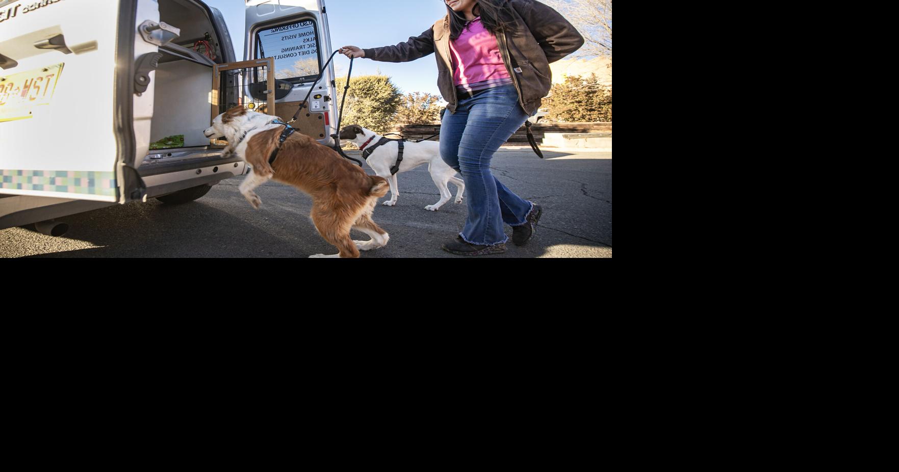 Dogxi is a taxi for dogs … and more | Business | santafenewmexican.com