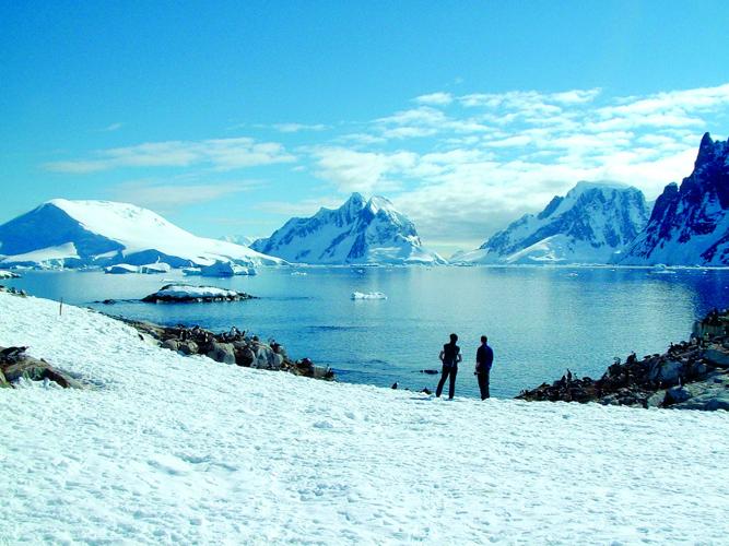 Movie Reviews — Life at the bottom of the world: "Antarctica: A Year on ...