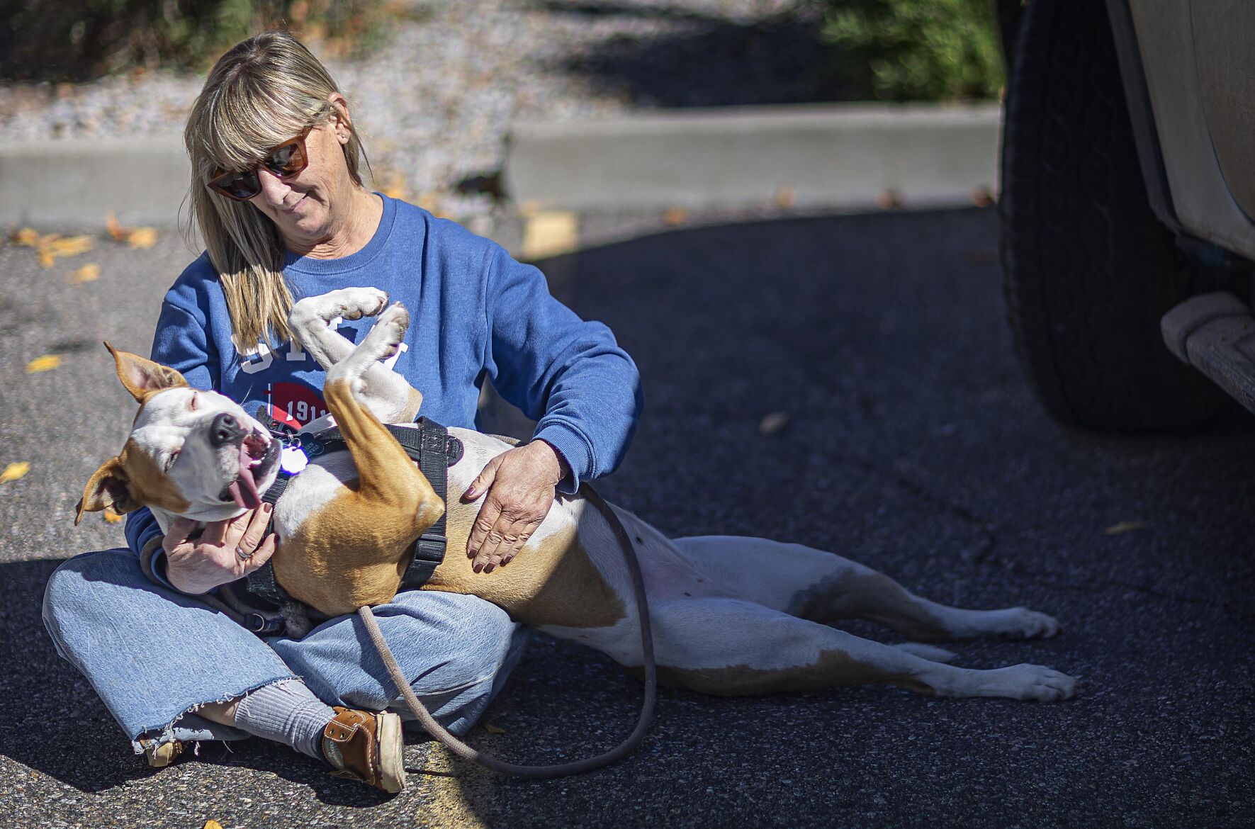 Continued crackdown on homeless? Santa Fe ordinance would prohibit pets ...