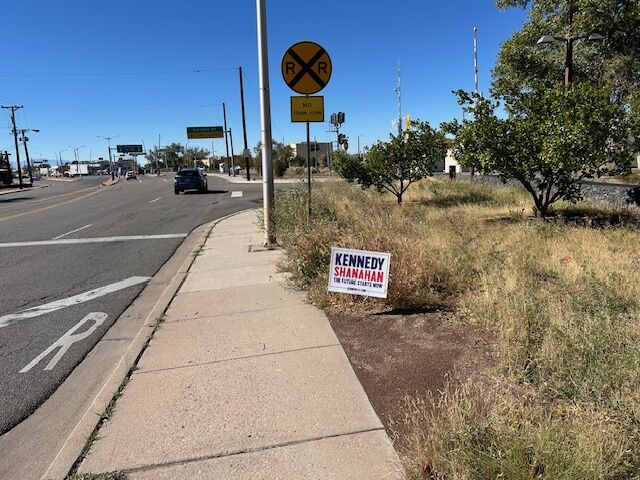 'Very blatant': City seeks to tackle proliferation of RFK Jr. signs ...