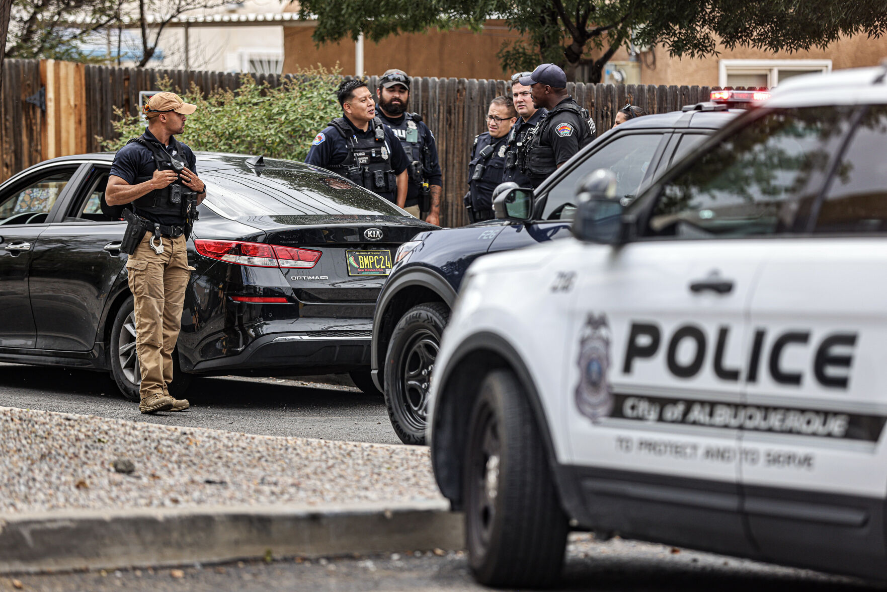 'A constant cycle of violence': Albuquerque police say crime down ...