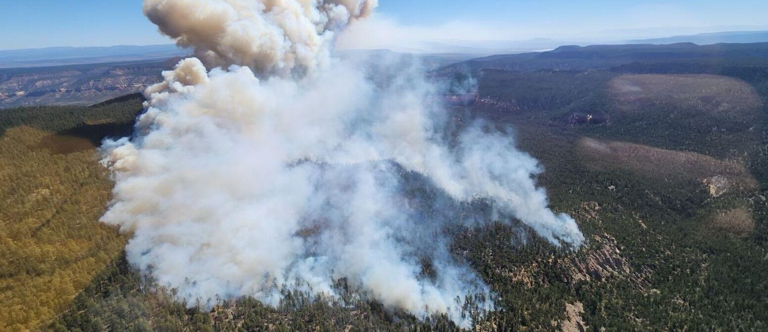 Indios Fire in Chama River Canyon Wilderness grows to 450 acres | Local ...