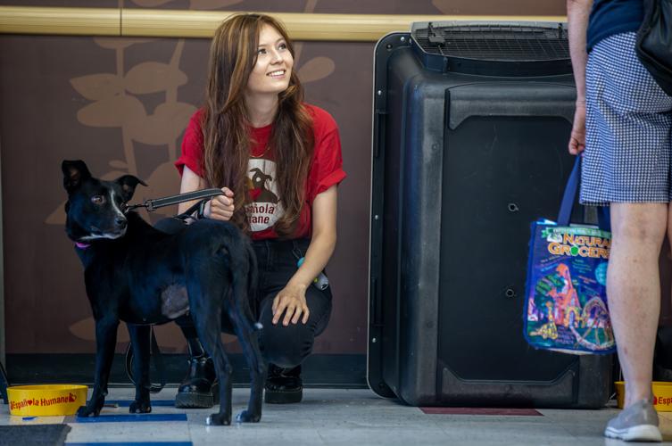 For Santa Fean named Miss New Mexico, title is a means to help | Local ...