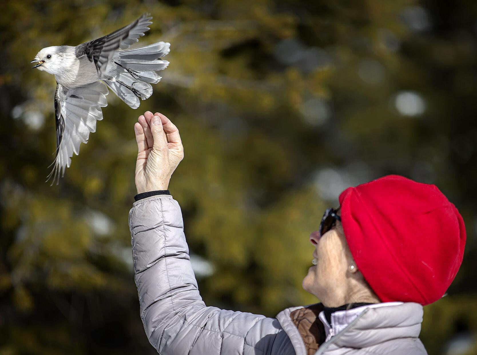 Gallery: Santa Fe Search and Rescue training day | Local News ...
