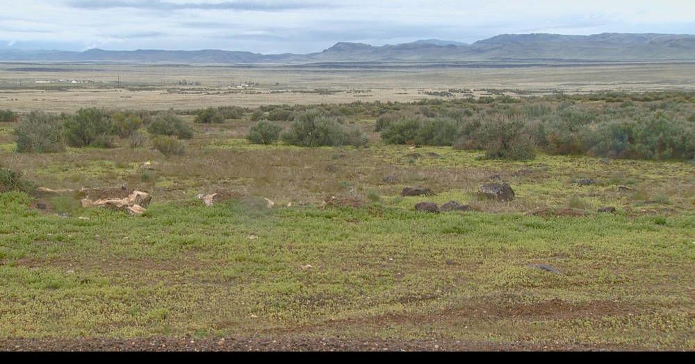 500-year-old skeletons headed for Native American tribes | Local News ...