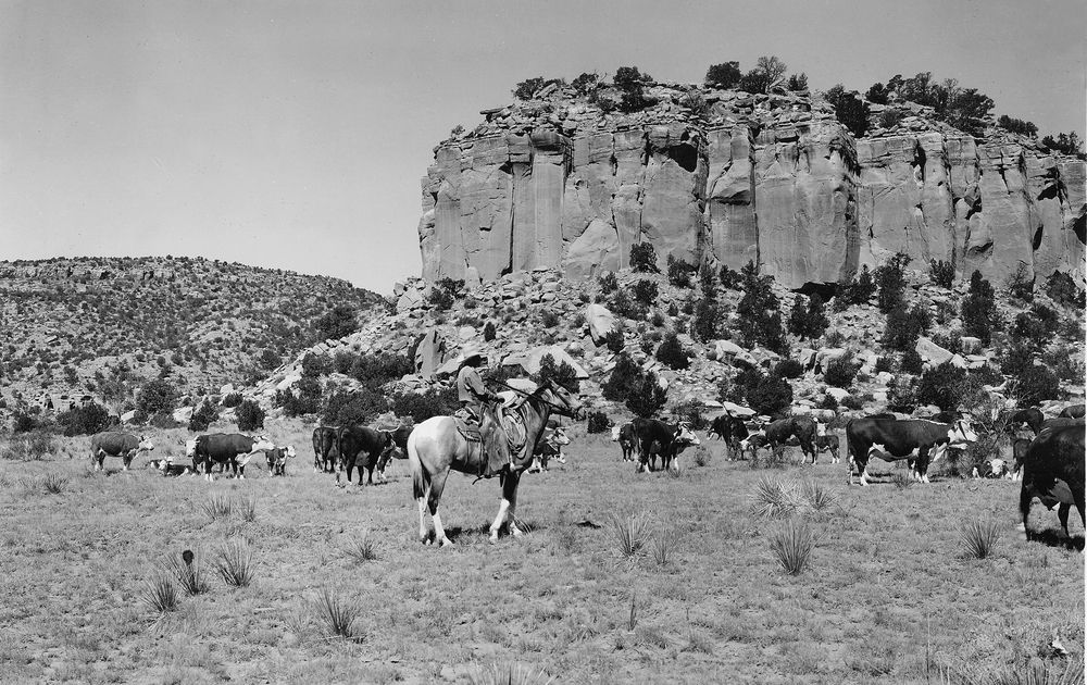 Trail Dust: Llano Estacado a testing ground for grit | Trail Dust ...