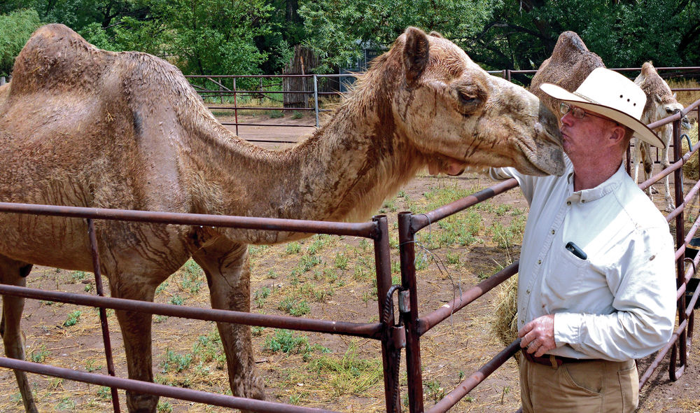 The Roundhouse Report: Midweek update | Local News | santafenewmexican.com