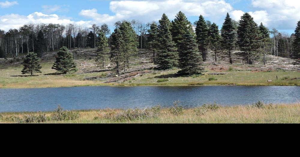 Canjilon Lakes to remain closed to visitors as forest regenerates ...