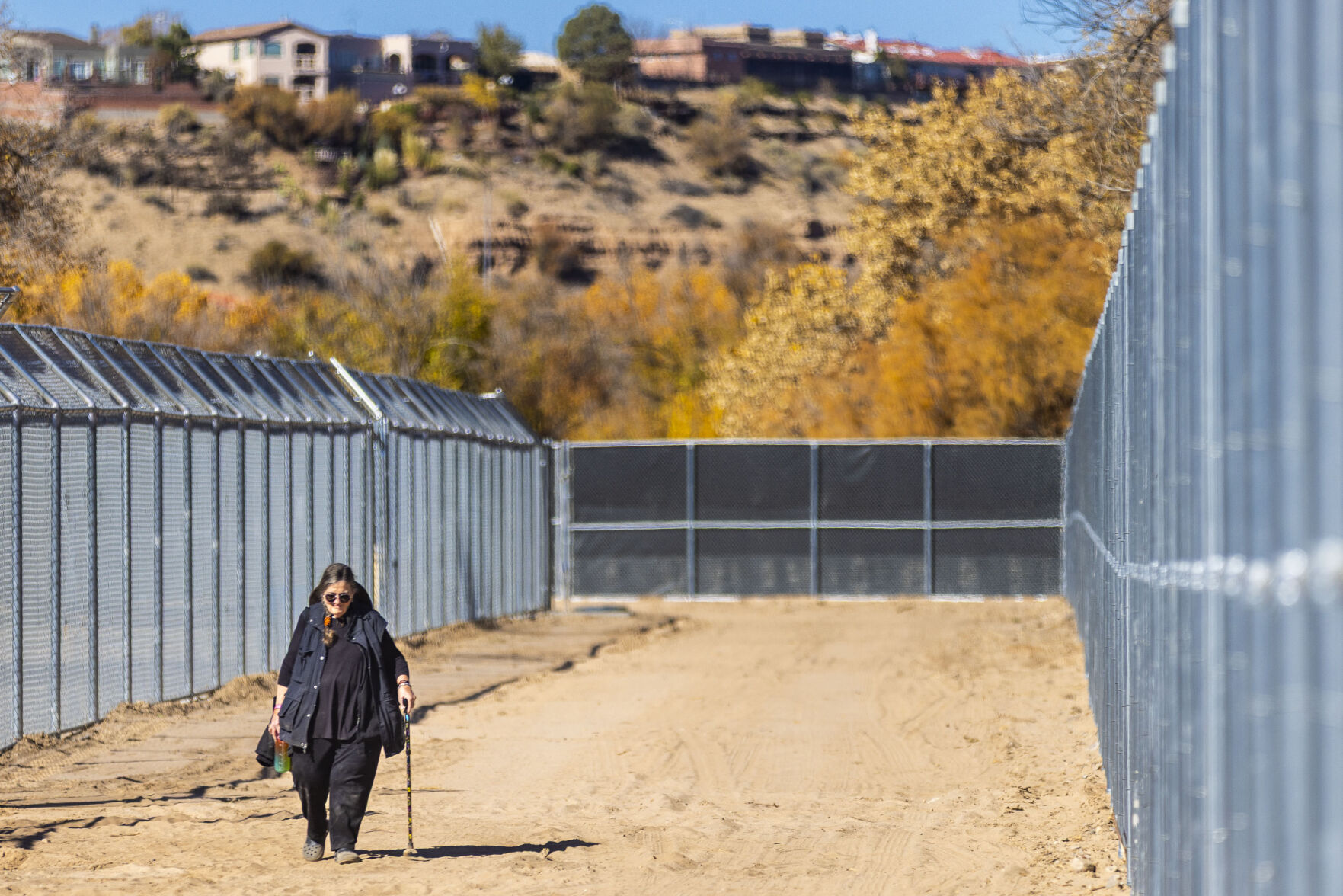 New lobos in town: Albuquerque's zoo prepares to open Mexican wolf ...