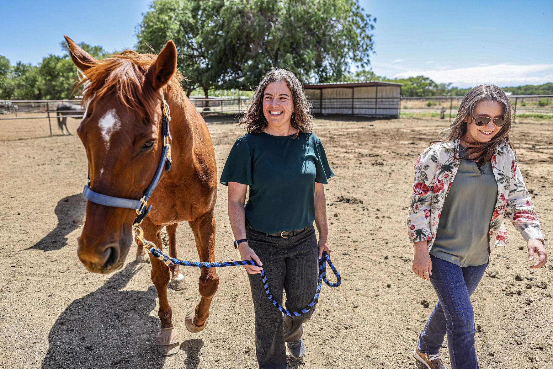 Tracking screwworms and talking about bats: Meet New Mexico's two state ...