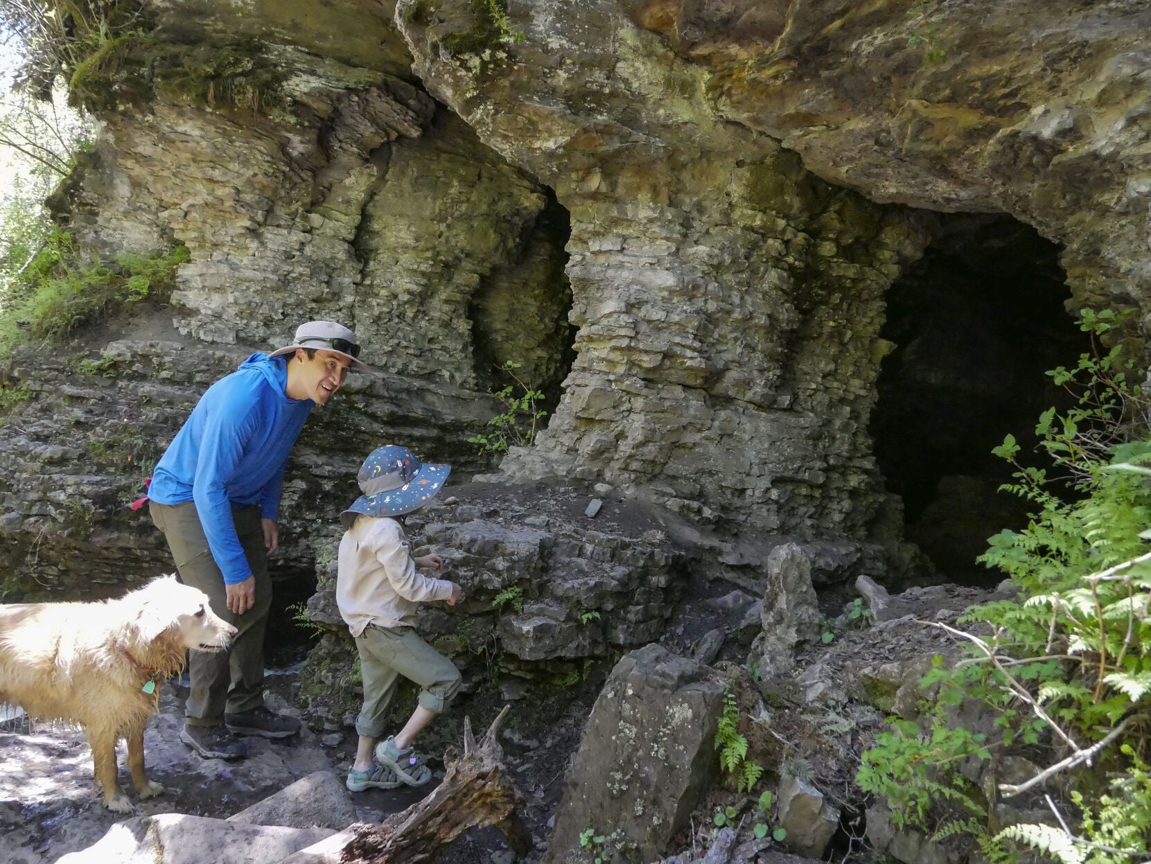 Deep sea fossils, vibrant wildflowers on display along Cave Creek Trail ...