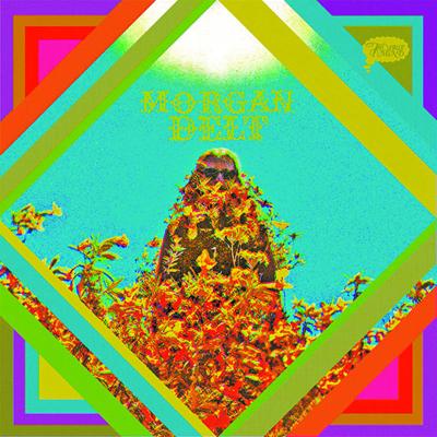 MORGAN DELT “Morgan Delt” (Trouble in Mind) | Cd Reviews ...