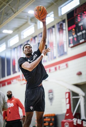 Expectations for fresh-look Lobos as high as ever | Sports ...