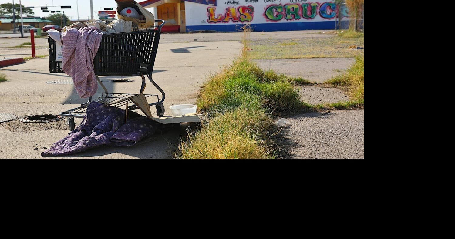 Las Cruces council narrowly passes shopping cart, panhandling ...