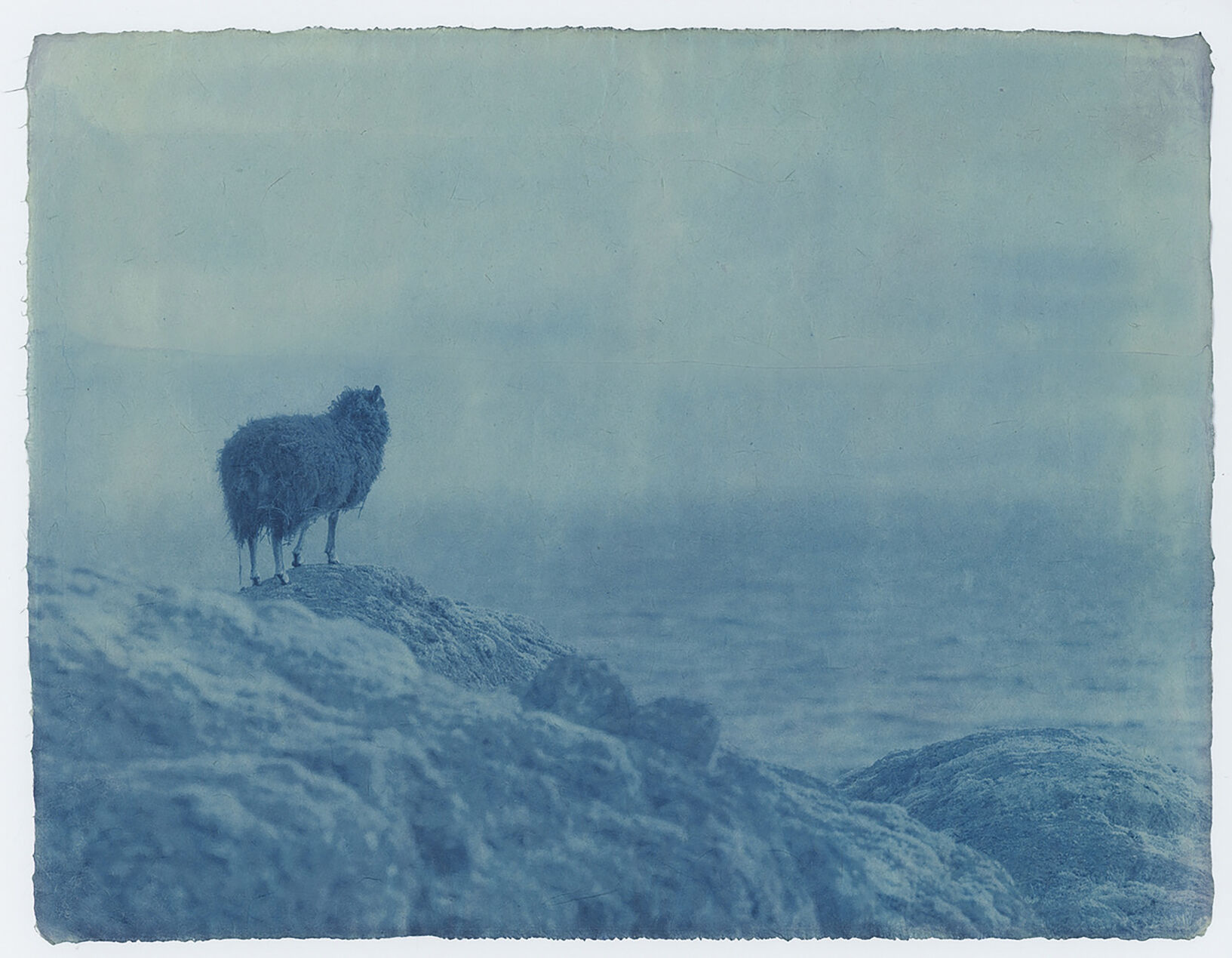 'Longing for the Sea, East Sooke, BC, CA,' by Esha Chiocchio ...