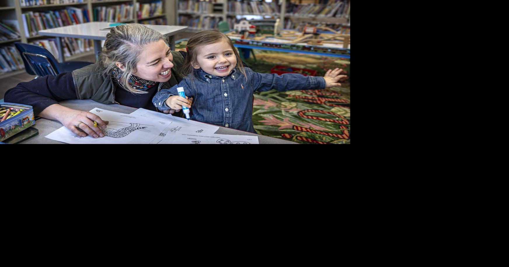 Rural libraries go by the book in a hunt for help | Education ...