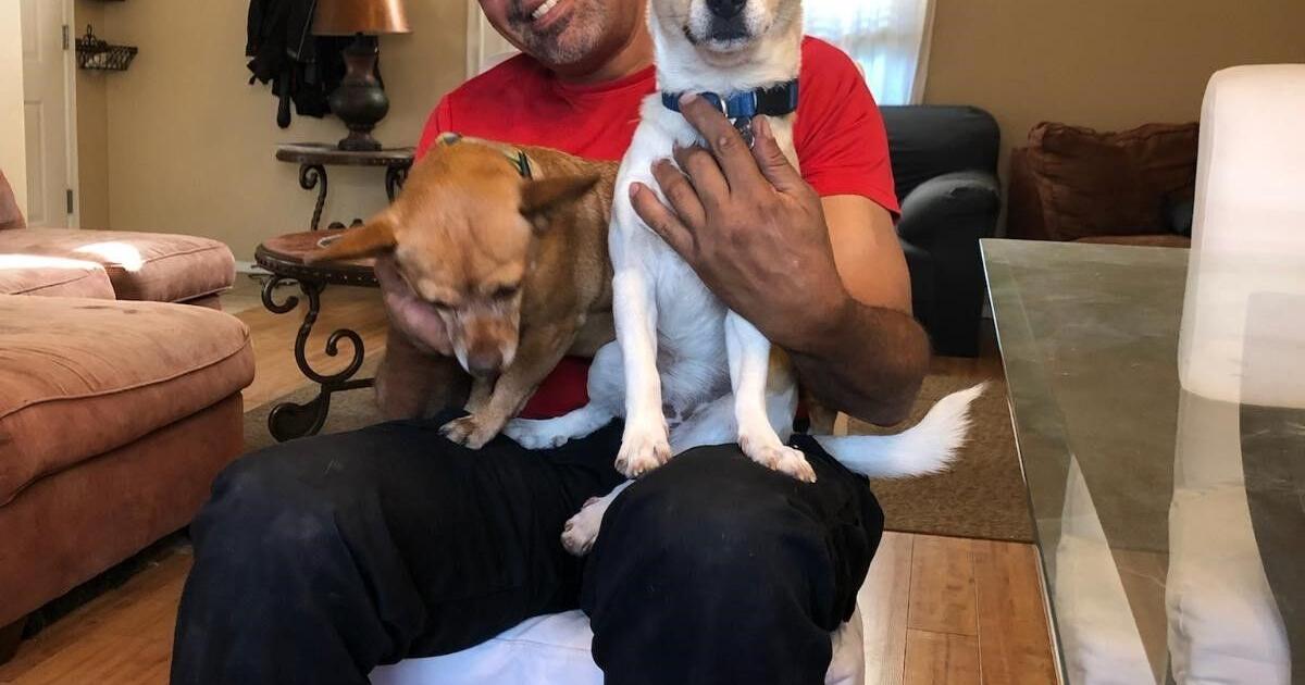 Finding Finn's perfect match | Paws | santafenewmexican.com