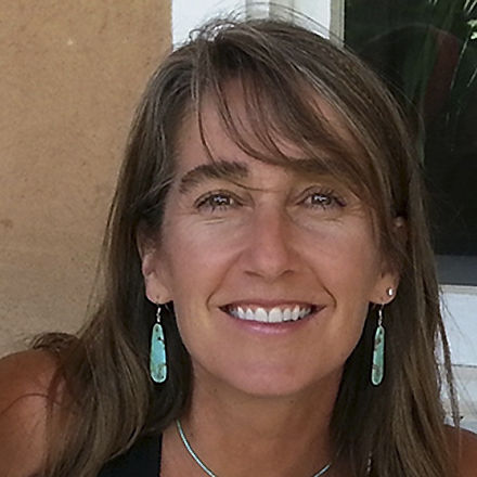 A call to arms: Environmentalist Sara Dant | Books | santafenewmexican.com